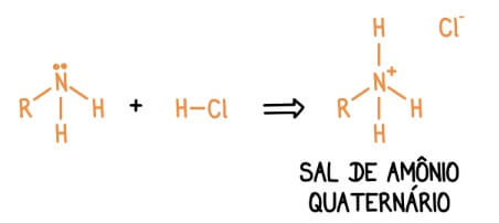 Aminas - Me Salva! Resumos e Apostilas